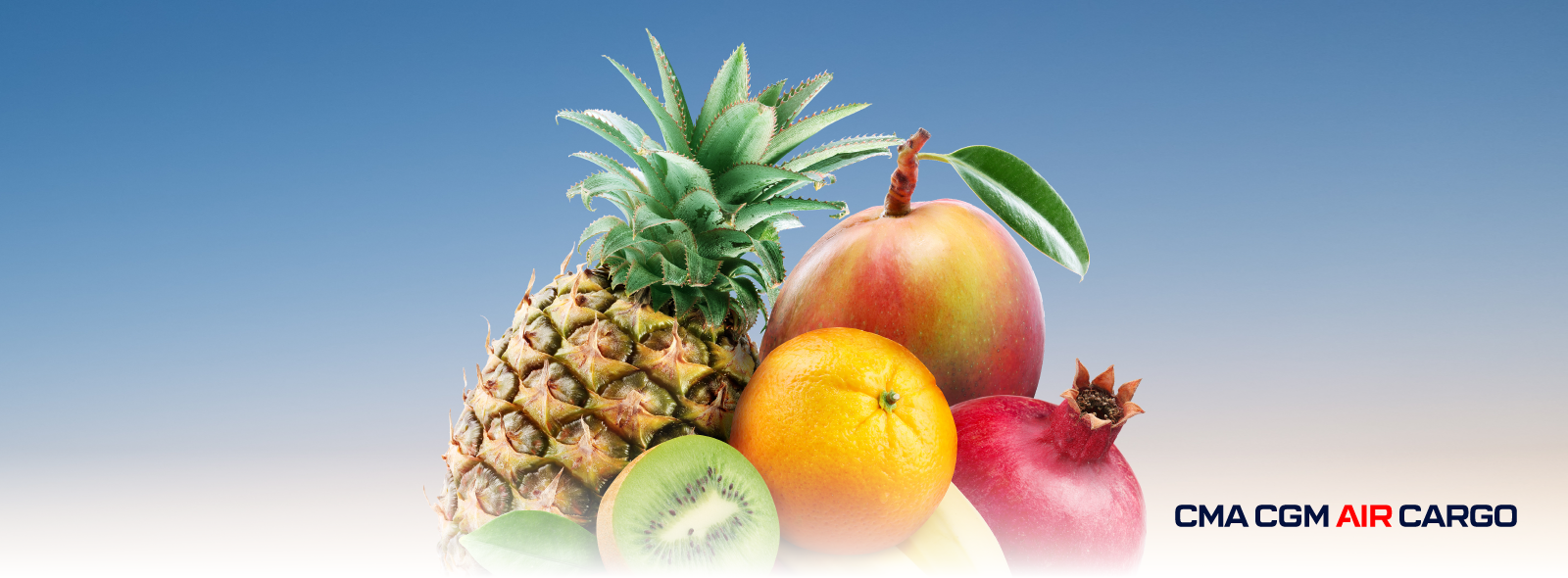 CMA CGM | Perishables