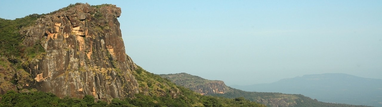 CMA CGM | CMA CGM Guinea | About Us