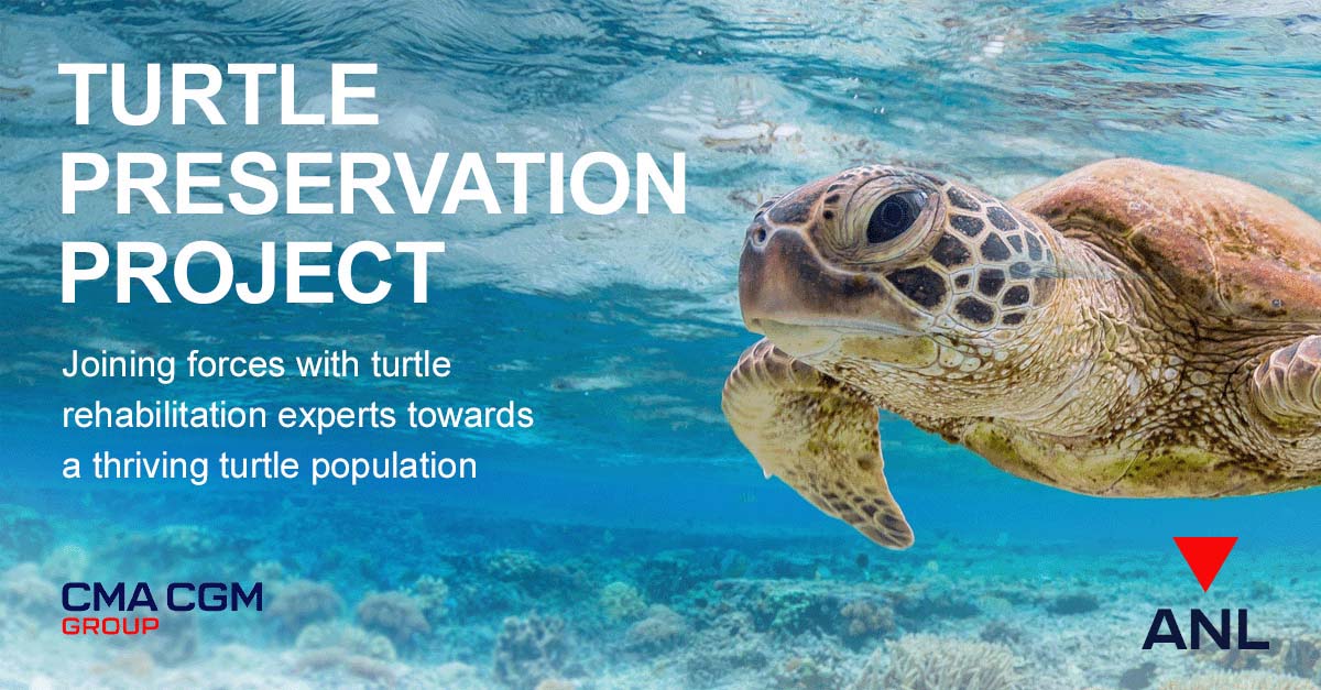 ANL | ANL launches Turtle Preservation Project in partnership with ...