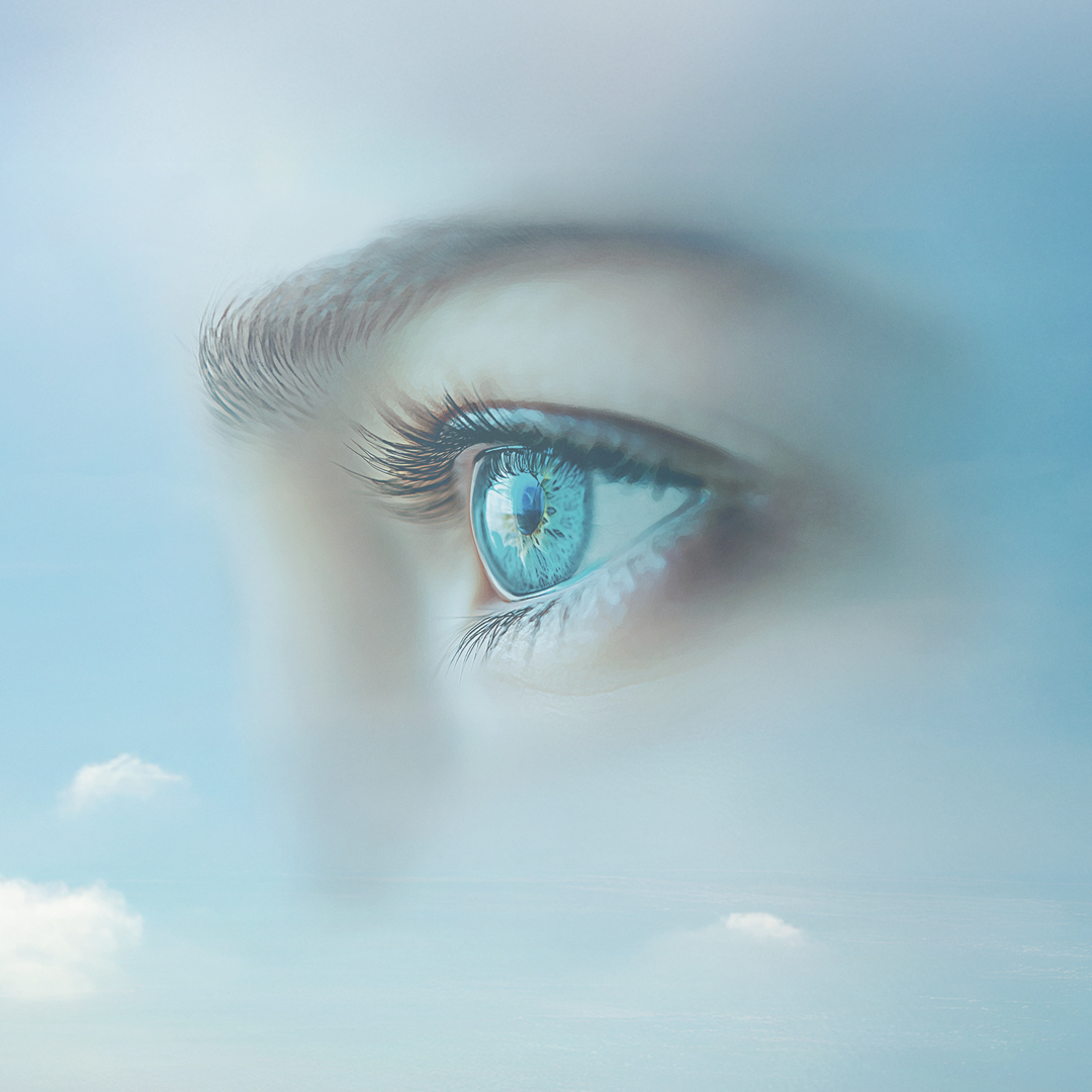 CMA CGM | A global player in sea, land, air, and logistics solutions.