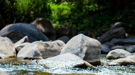 ANL | The Papakura Stream Restoration Project
