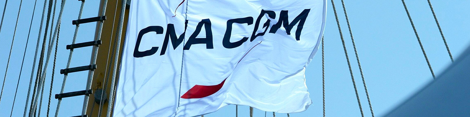 CMA CGM | Customs Regulations